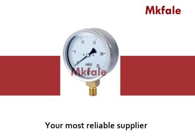China IP44 Brass Connection Liquid Filled Water Pressure Gauge 63mm 75mm 100mm 160mm for sale