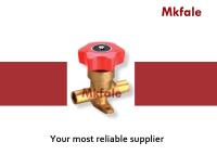 China Manual Stop Electric Solenoid Air Valve PTFE Brass Solenoid Valve Board Special Design for sale