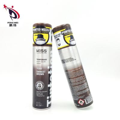 China Multi Scene Dry Waterproof Hair Color Spray Unisex Sweat Resistant for sale