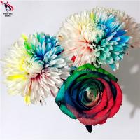 China MSDS 350ml Flower Pearl Color Spray , Tinplate Paint Spray For Flowers for sale