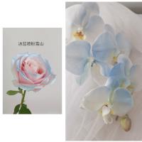 China MSDS 350ml Flower Pearl Color Spray , Tinplate Paint Spray For Flowers for sale