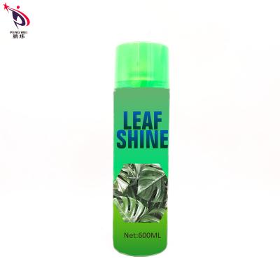 China Multiscene Tinplate Leaf Shine Spray Green Bottle Color Eco Friendly for sale