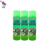 China Nontoxic Multifunctional Leaf Shine Aerosol , Tin Plant Spray For Shiny Leaves for sale