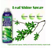China ISO14001 Transparent Leaf Shine Spray Harmless Environmental Protection for sale
