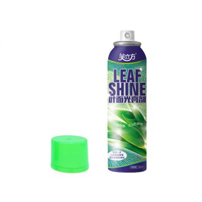 China Tinplate Non - Toxic Dusting Brightening Leaf Shine Spray 600ml For Foliage Palnts for sale