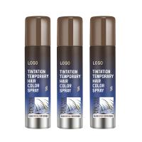 China Temporary Washable Hair Color Spray 52*128mm Can Blue Color for sale