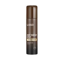 China EN71 Hair Color Sprays Instant Retouch Root Cover Up Natural Color Refreshing Gray Concealer Spray for sale