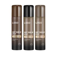 China 45*128mm Can Size Hair Glitter Spray with Customized Fragrance for sale
