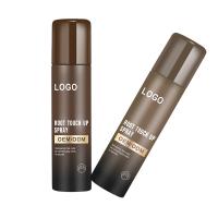 China EN71 Hair Color Sprays Instant Retouch Root Cover Up Natural Color Refreshing Gray Concealer Spray for sale