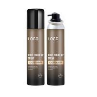 China EN71 Hair Color Sprays Instant Retouch Root Cover Up Natural Color Refreshing Gray Concealer Spray for sale
