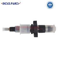 China Diesel Common Rail Fuel Injector Assembly 0 445 120 114 buy for  Common Rail Fuel Injector for sale