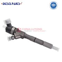 China 0445110307 for  common rail injector manufacturers 0 445 110 307 Common Rail Injector 5263308 for sale