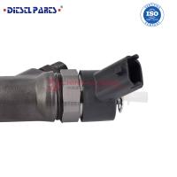 China 0445110307 for  common rail injector manufacturers 0 445 110 307 Common Rail Injector 5263308 for sale