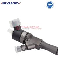 China 0445110307 for  common rail injector manufacturers 0 445 110 307 Common Rail Injector 5263308 for sale