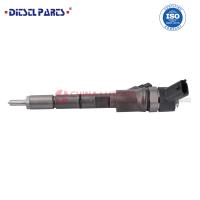 China 0445110307 for  common rail injector manufacturers 0 445 110 307 Common Rail Injector 5263308 for sale