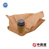 China Common Rail Pressure Limiting Valve 1 110 010 018 Automatic Fuel Pressure Limiting Relief Valve for sale
