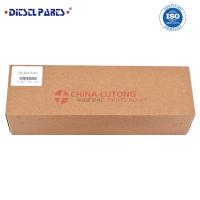 China 0 445 120 110 common rail fuel injector for Yuchai YC6J 0 445 120 110, Injector CR, Common Rail system , 0445120110 for sale