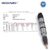 China 0445120277 diesel common rail injector set 0 445 120 277 Common rail injection Injector For FAW Xichai 6DM2 engine for sale