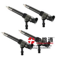 China Top quality Common Rail Injector 0445110249 0 445 110 249 for DIESEL FUEL INJECTOR FOR FORD RANGER for sale