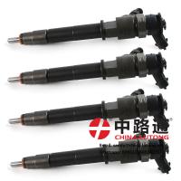 China Top quality Common Rail Injector 0445110249 0 445 110 249 for DIESEL FUEL INJECTOR FOR FORD RANGER for sale