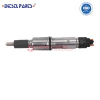 China Common Rail Fuel Injector  for  Auto Fuel Pump Injector 0 445 120 309 for weichai diesel engine fuel injector for sale
