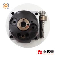 China alh 11mm injection pump head 146402-1420 for zexel distributor head gasket kit for sale