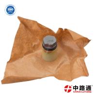 China Common Rail Piezo Injector Control Valve Kit 1 110 010 024 for Buy  Pressure Relief Valve for sale