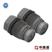 China Common Rail Piezo Injector Control Valve Kit 1 110 010 024 for Buy  Pressure Relief Valve for sale