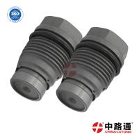 China Common Rail Piezo Injector Control Valve Kit 1 110 010 024 for Buy  Pressure Relief Valve for sale