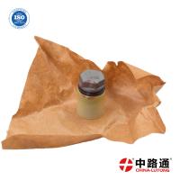 China Common Rail Piezo Injector Control Valve Kit 1 110 010 024 for Buy  Pressure Relief Valve for sale