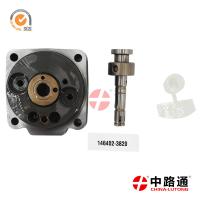 China fit for hydraulic head of pump 146402 3820 4/11L  VE 4 cylinder diesel pump head for hydraulic head 9461615070 for sale