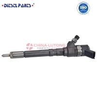 China Common Rail Fuel Injector 0 445 110 859 Fuel Injector 0 445 110 859 For BOSOH for sale