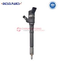 China Common Rail Fuel Injector 0 445 110 859 Fuel Injector 0 445 110 859 For BOSOH for sale