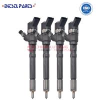 China Common Rail Fuel Injector 0 445 110 859 Fuel Injector 0 445 110 859 For BOSOH for sale