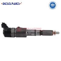 China Common Rail Fuel Injector 0 445 110 844  Diesel Injector Assembly 0445 110 844 Common Rail Nozzle Injector 045110 844 Fo for sale