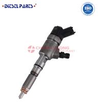 China Common Rail Fuel Injector 0 445 110 844  Diesel Injector Assembly 0445 110 844 Common Rail Nozzle Injector 045110 844 Fo for sale