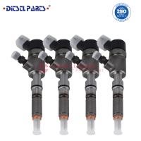 China Common Rail Fuel Injector 0 445 110 844  Diesel Injector Assembly 0445 110 844 Common Rail Nozzle Injector 045110 844 Fo for sale