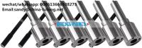 China Common Rail Nozzle F00VX20067 Common Rail F00VX20067 for Piezo Nozzle Head for 0445116041 Fuel Injector Diesel Commo for sale