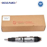 China Buy Common Rail Diesel Injector 0445120391 0 445 120 391 for WEICHAI WP10 CNHTC HOWO FOTON JAC for sale
