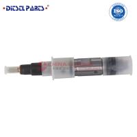 China high quality Diesel Common Rail Fuel Injector 0 445 120 333 Diesel Injector 0445120333 For BOS-CH Engine XICHAI ISO certificate high perfomance for sale