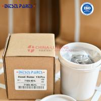 China 7189-461L Wholesale New Diesel Fuel Pump Head Rotor 7189-461L with Rotor 018L 3/7R Factory direct sale high quality diesel DPT pump head rotor 7189-461L 7189461L for sale