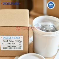 China 7189-461L Wholesale New Diesel Fuel Pump Head Rotor 7189-461L with Rotor 018L 3/7R Factory direct sale high quality diesel DPT pump head rotor 7189-461L 7189461L for sale