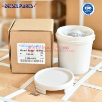 China 7189-461L Wholesale New Diesel Fuel Pump Head Rotor 7189-461L with Rotor 018L 3/7R Factory direct sale high quality diesel DPT pump head rotor 7189-461L 7189461L for sale