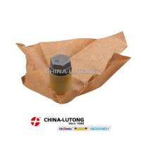 China high quality pressure limiting valve PLV 1 110 010 018 Pressure Relief Valve common rail system 1 110 010 018 wholesale price for sale