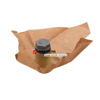China high quality pressure limiting valve PLV 1 110 010 018 Pressure Relief Valve common rail system 1 110 010 018 wholesale price for sale