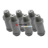 China pressure limiting valve (PLV) 1 110 010 035 New Common Rail Pressure Limiting Valve 1110010035 1 110 010 035 for Cummings ISDe Truck for sale