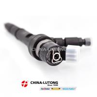 China 0 445 110 278 0445110278 DIESEL INJECTOR ASSY 0445 110 278 Fuel  Injector 0 445 110 278 for Hyundai 33800-4A600 for sale