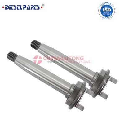 China Injection Pump Drive Shaft 1 466 100 305 for Fiat IV-ECO KHD Rena-ult VW Diesel Fuel Injection Pump parts high quality for sale