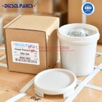 China high quality Hydraulic Head 9050-300L High-quality Diesel Fuel Pump DPT Head Rotor 9050-300L with Rotor 215L 4/7R 9050300L 300L Head Rotor 9050-300L for sale