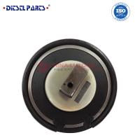 China Hydraulic Head 7185-196L Factory Price Diesel Fuel Pump Hydraulic DPA Head Rotor 7185-196L for sale